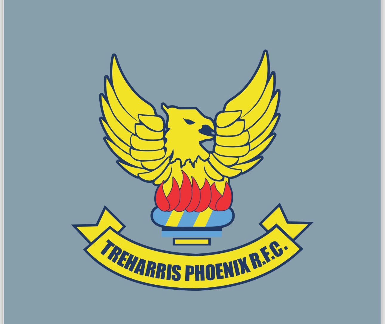 Treharris RFC – GymStash.co.uk